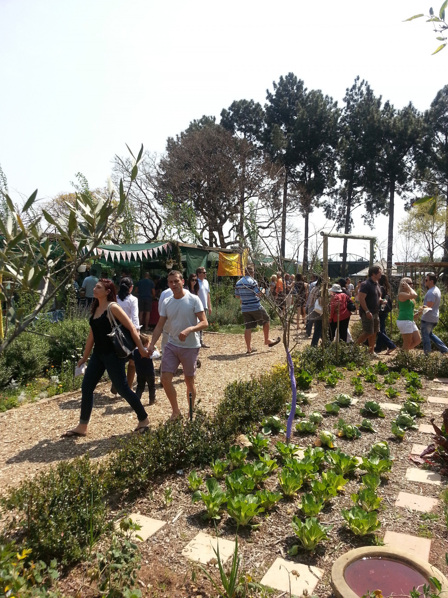 Fourways Farmers Market