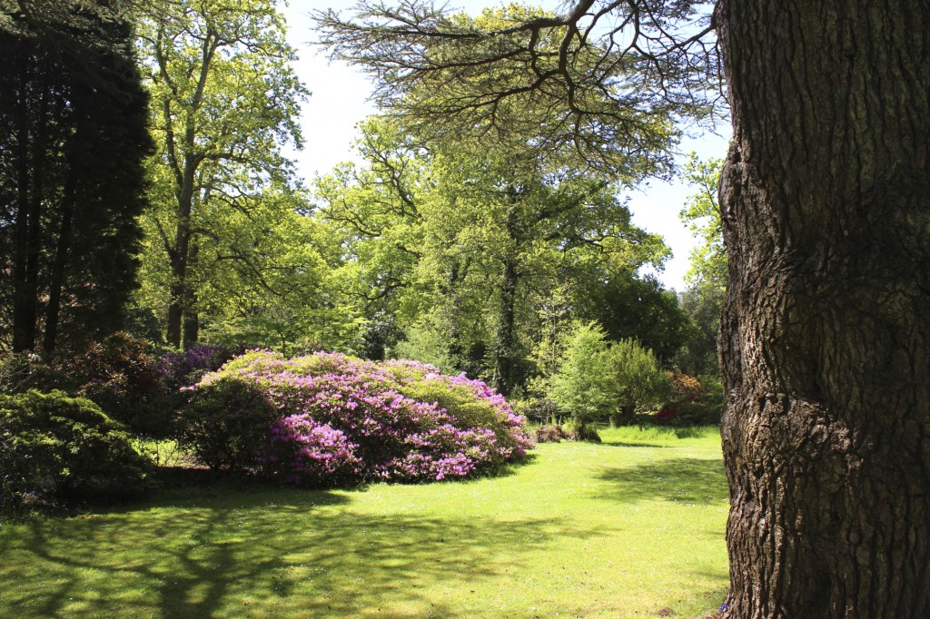Making the most of shady places