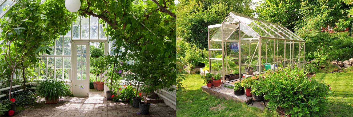 Greenhouse gardening 101