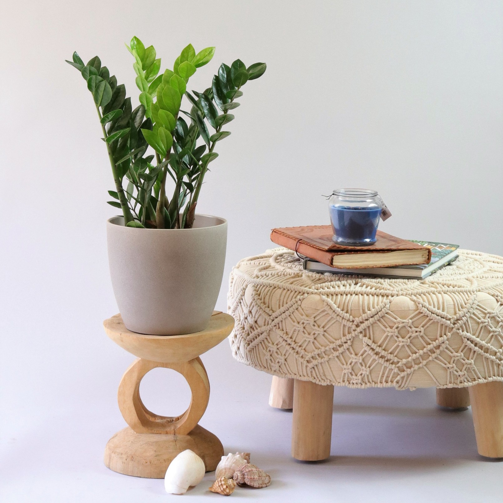 All about indoor plants