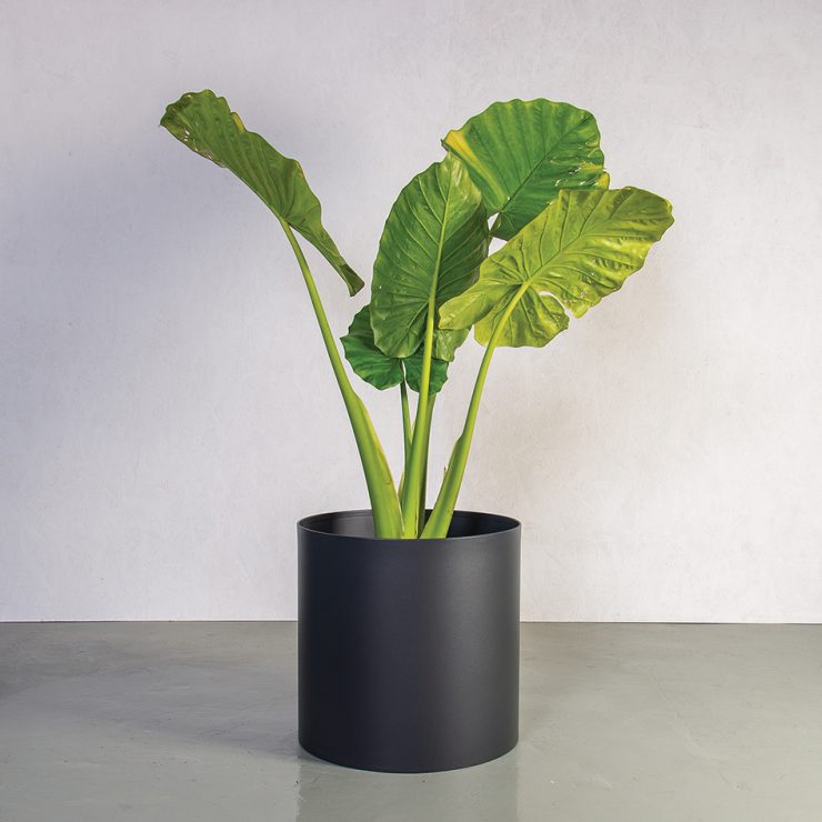 November '20 magazine giveaways