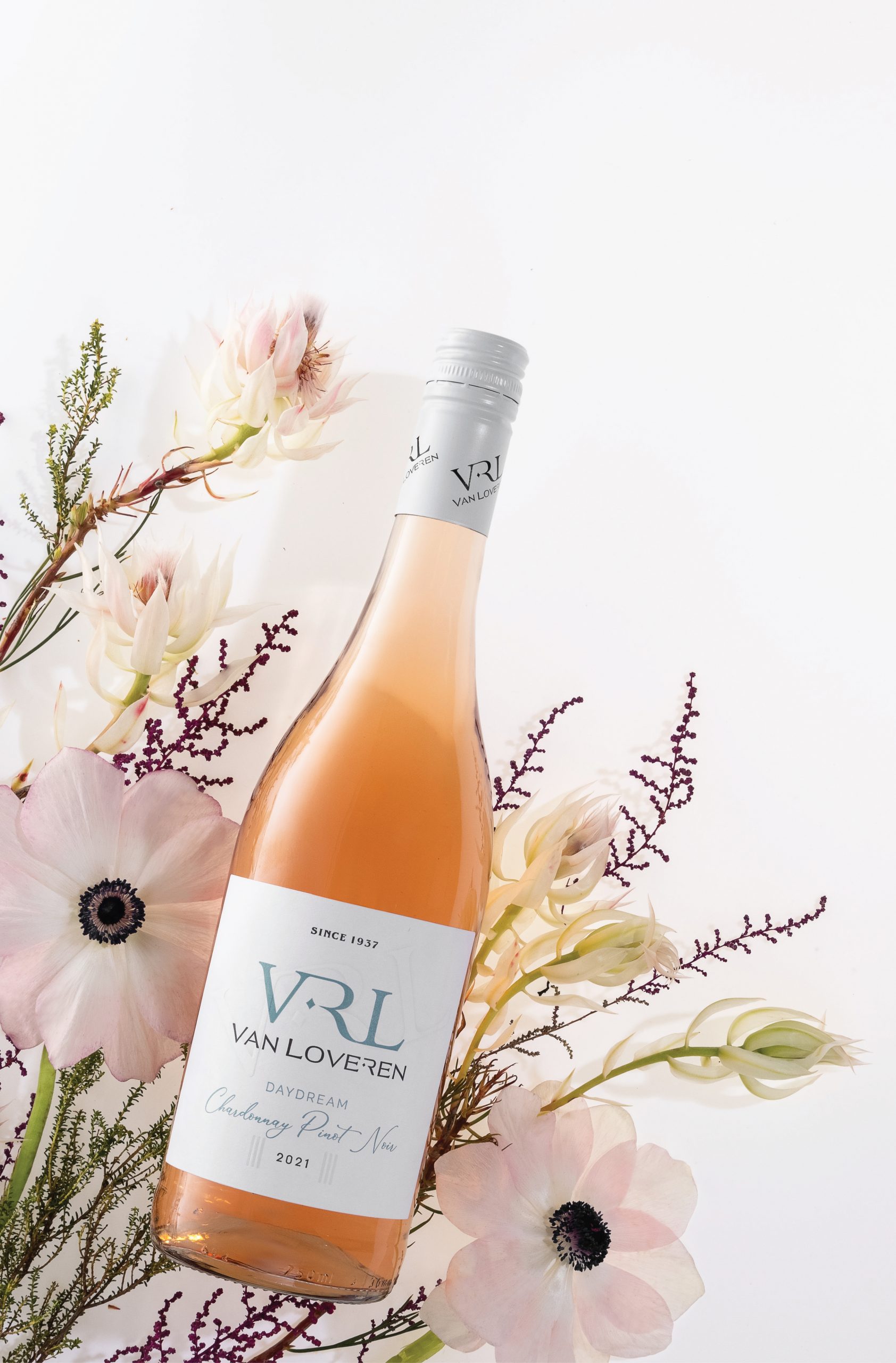 Celebrate summer with Van Loveren