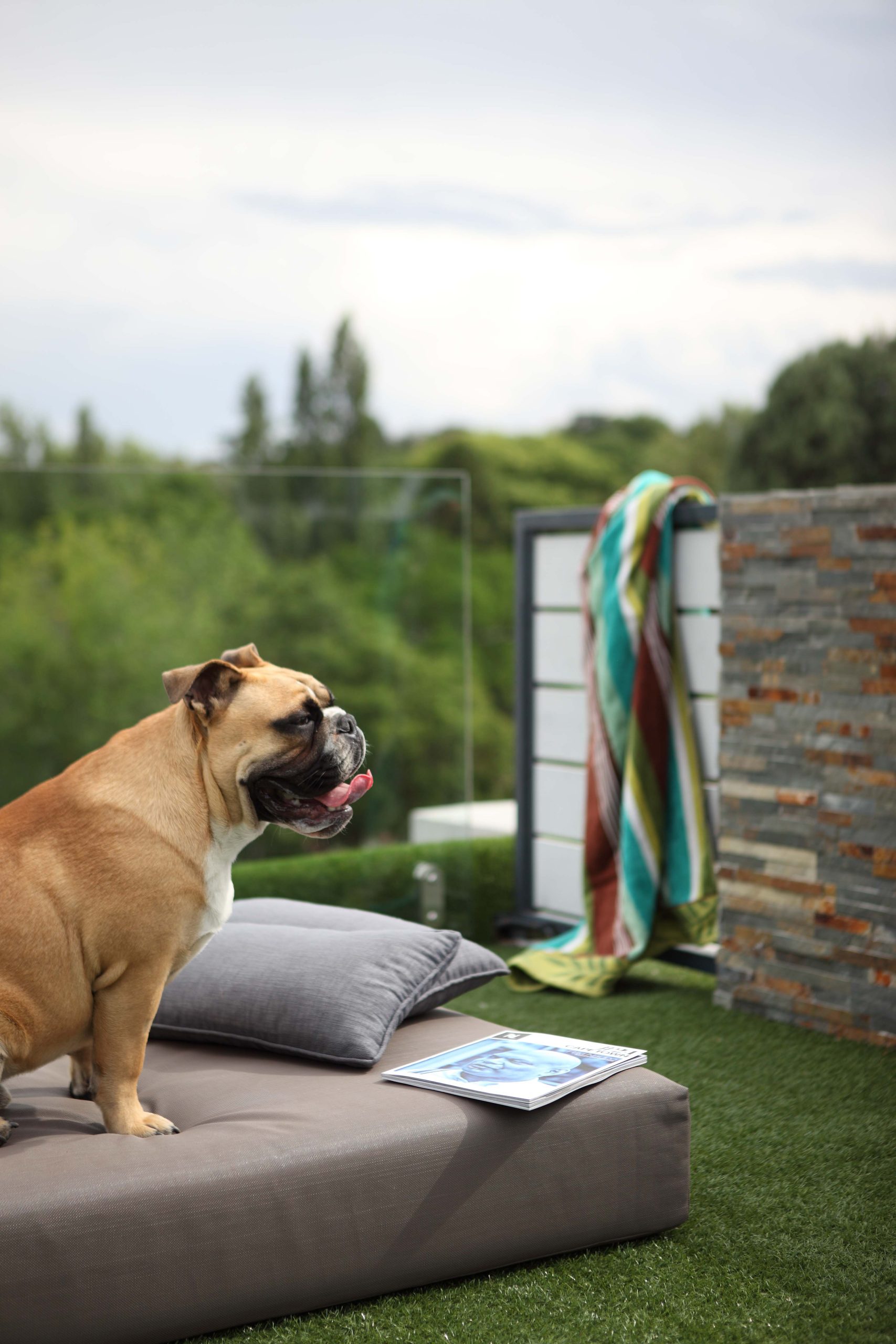 Deluxe natural stone cladding with Italtile