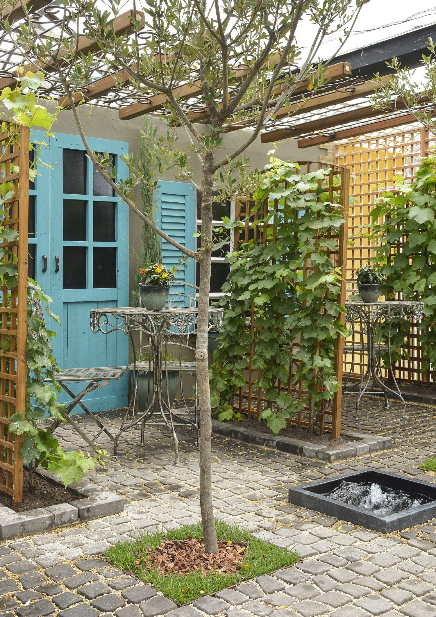 Discover the benefits of vertical gardens