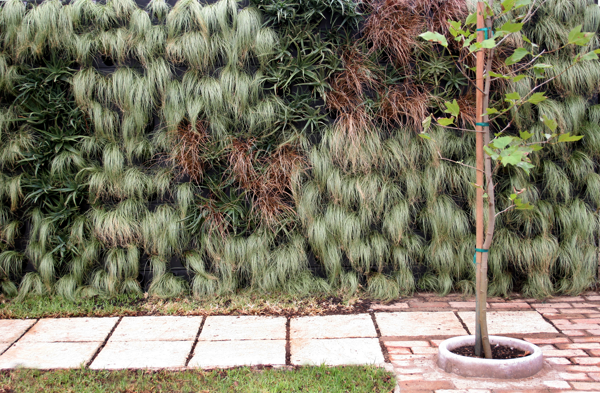 Discover the benefits of vertical gardens