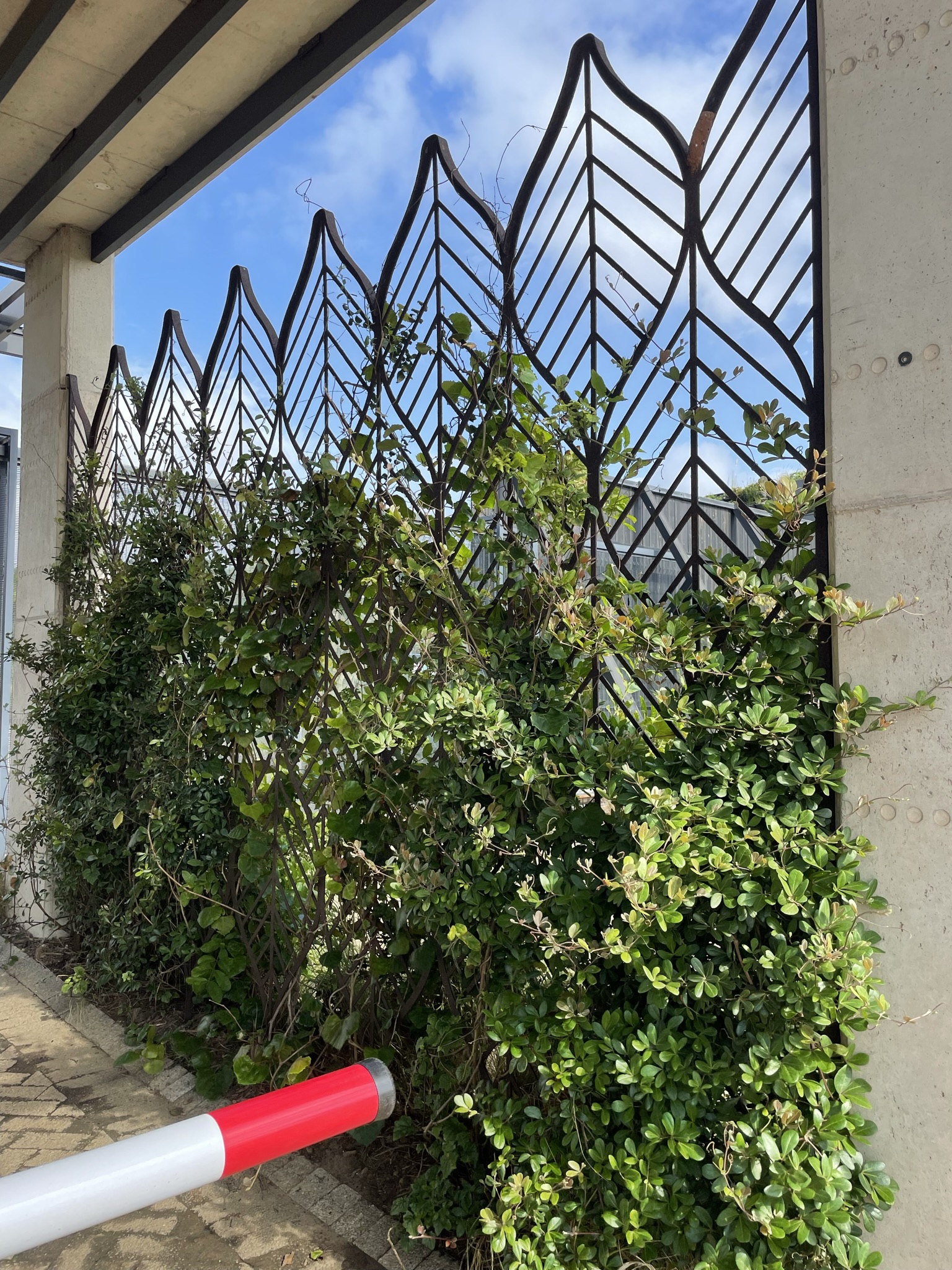 Discover the benefits of vertical gardens