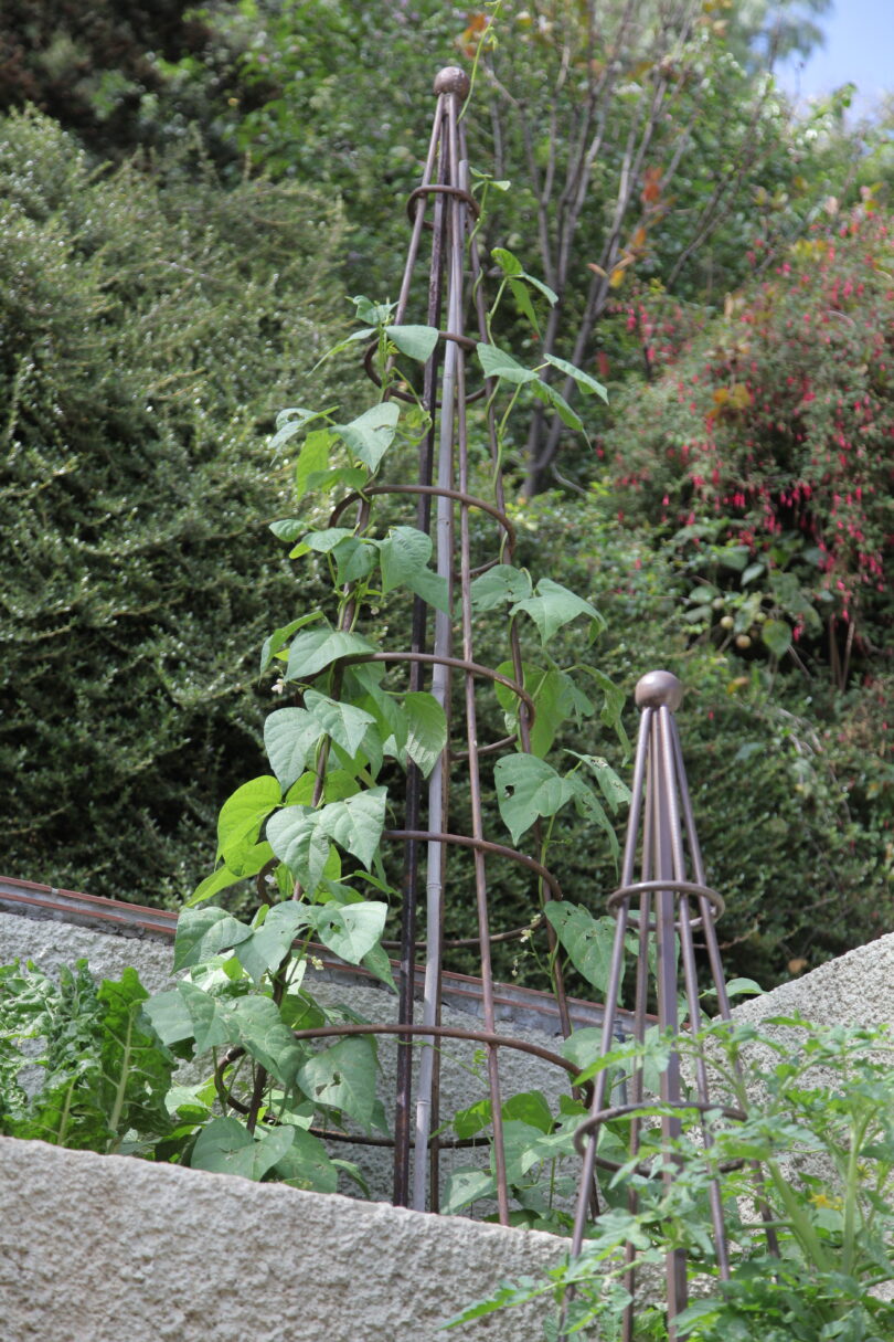 Save water in the garden this spring