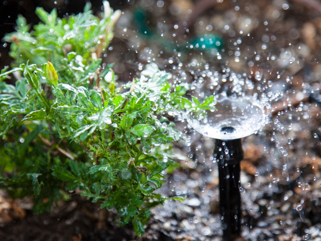 Save water in the garden this spring